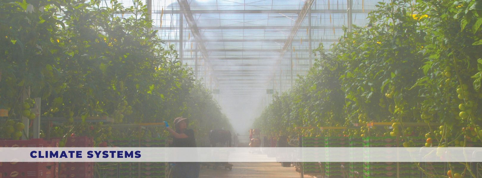 Climate systems - Irribiz