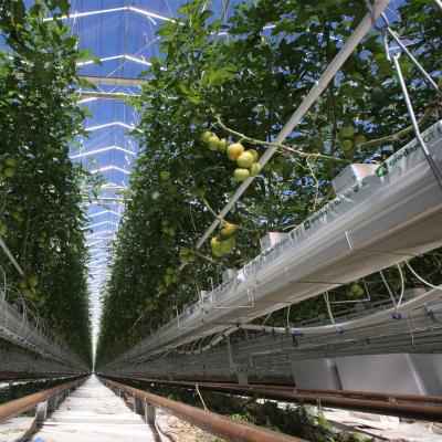 Grow Gutters - Irribiz