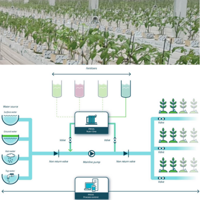 Priva Systems - Irribiz