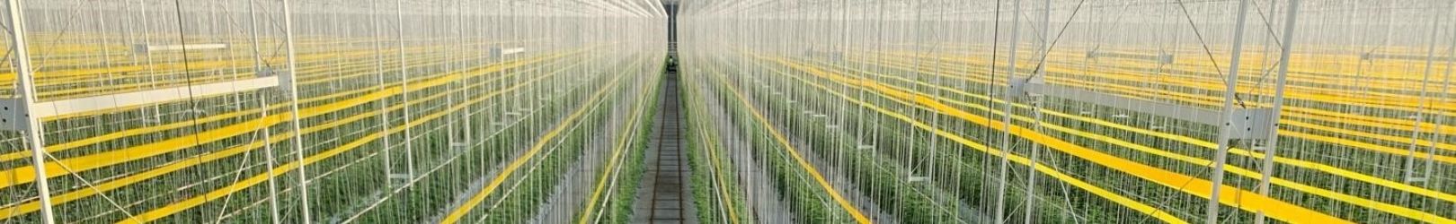 Crop Support - Irribiz